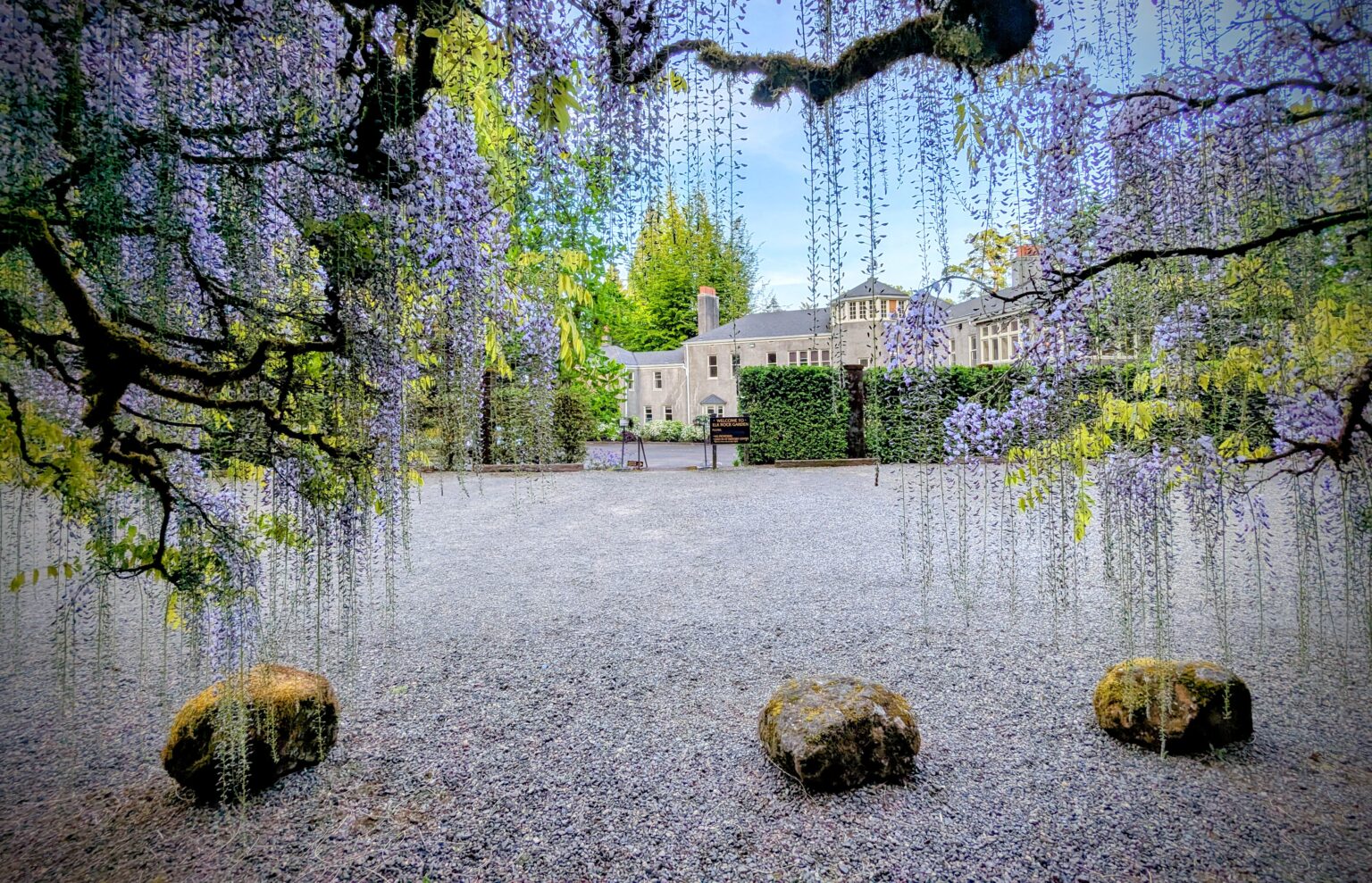 Photos – Elk Rock Garden